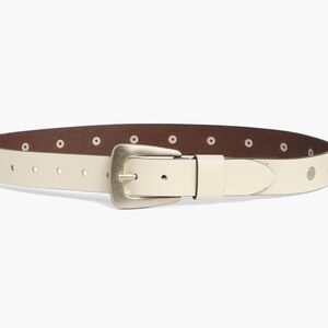 All Saints | Accessories | Allsaints Taupe Leather 25mm Snake